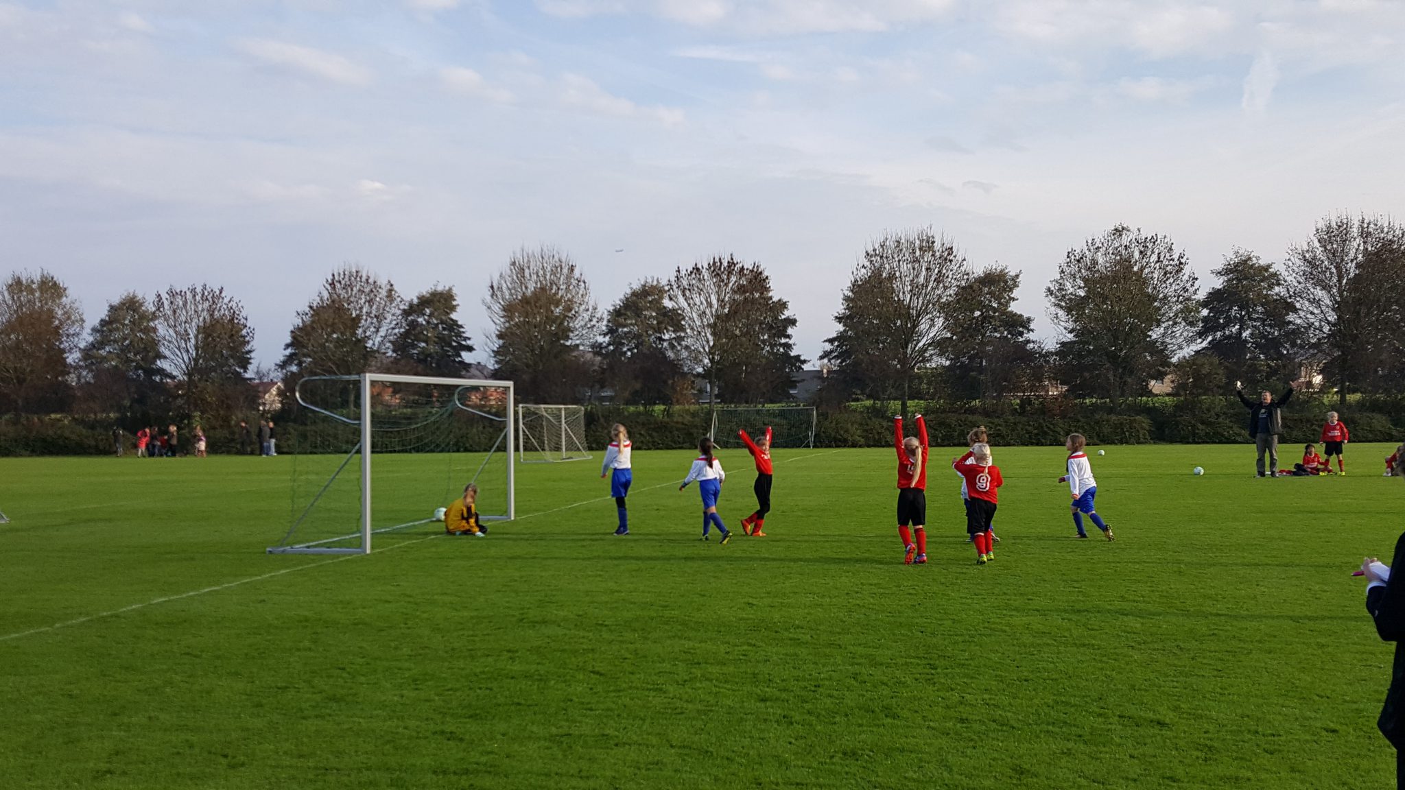 RKDES - TOS Actief | RKDES